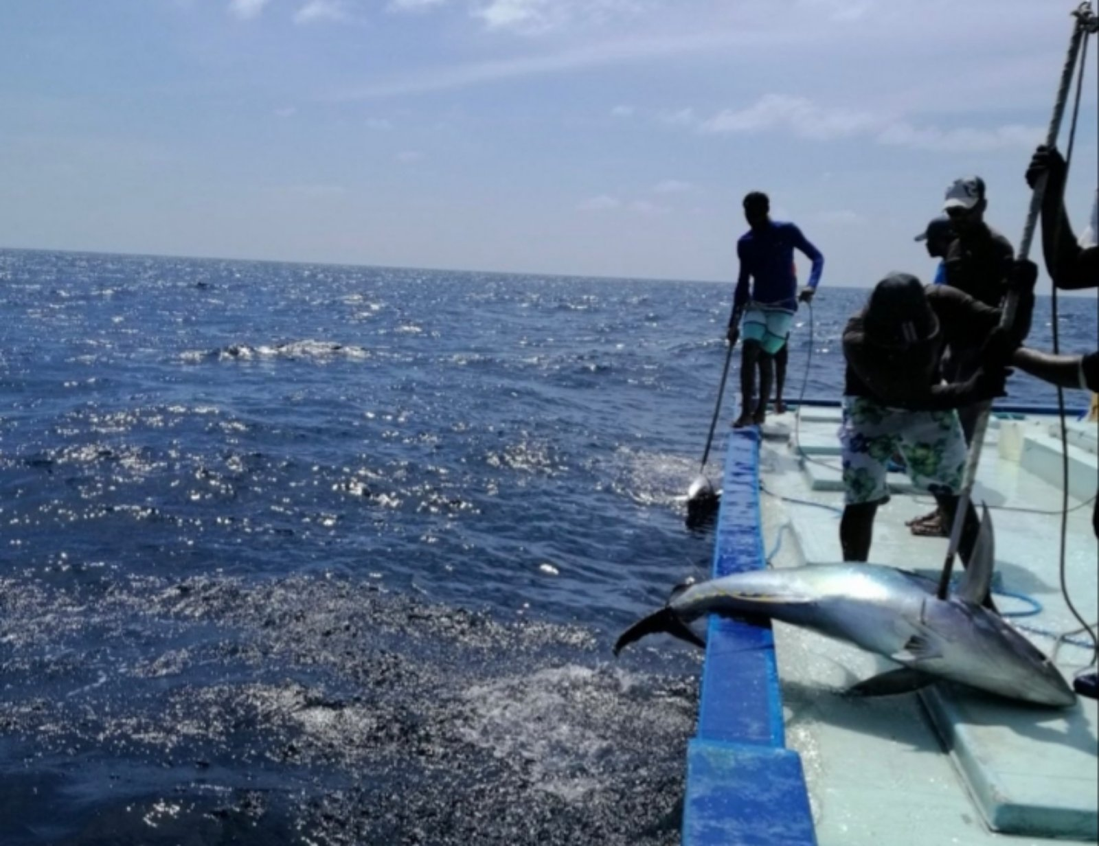 ކަންނެލީގެ އަގު ހިފެހެއްޓުމެއް ނެތި ދަށްވާތީ ކަންބޮޑުވުން - Aafathis